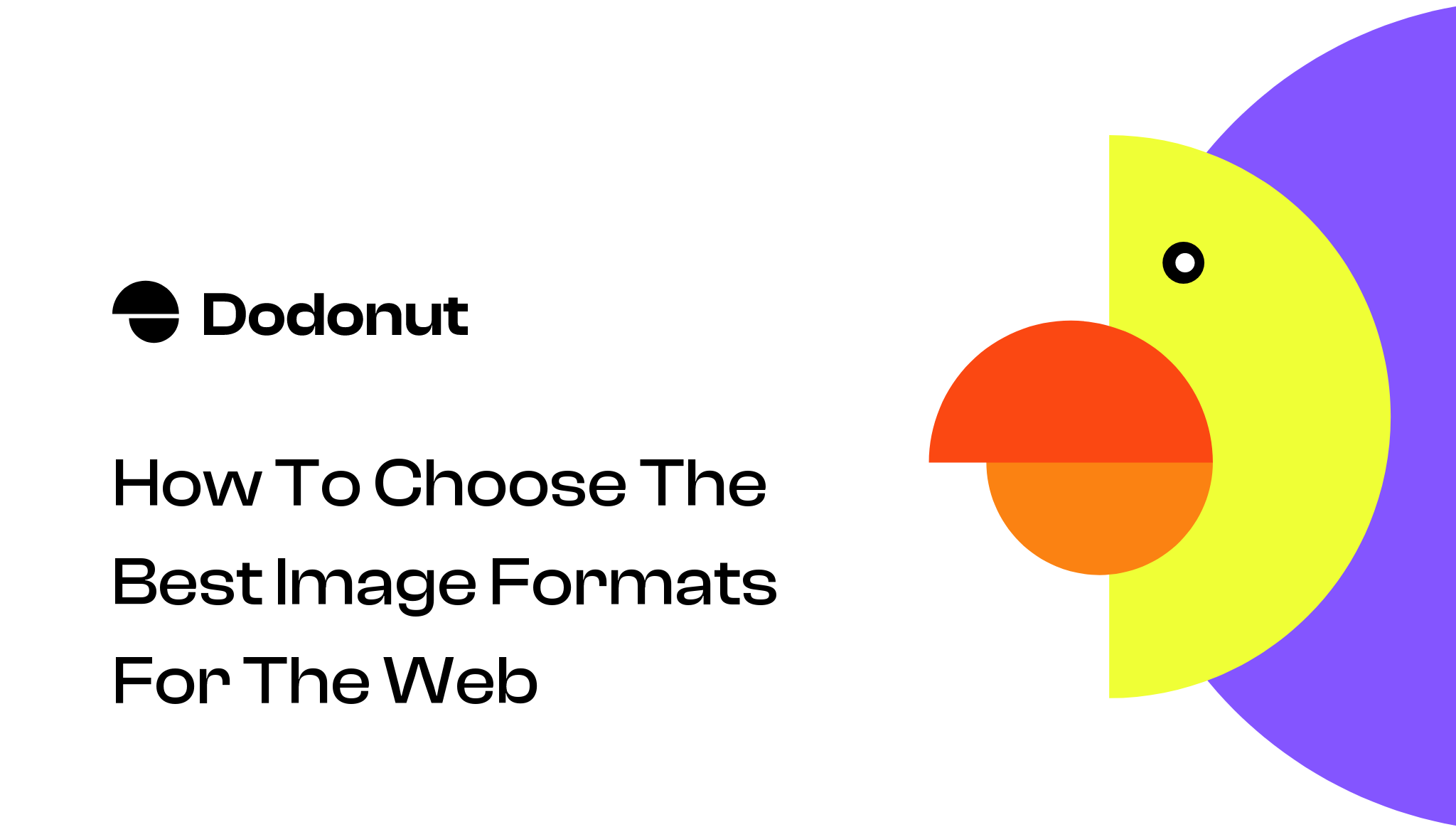 Ultimate Guide On The Best Image Formats For The Web | Dodonut